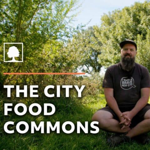 Permaculture Festival of Ideas - Permaculture Education Institute